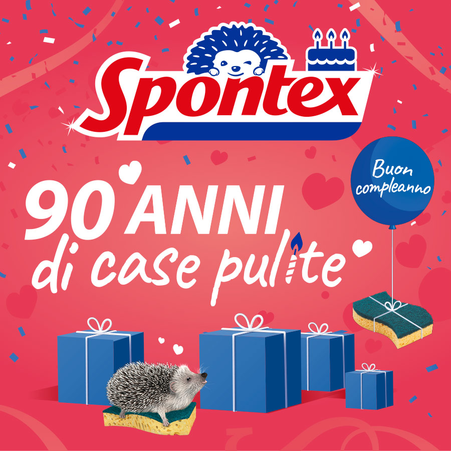 Acquista online i prodotti per la casa Spontex